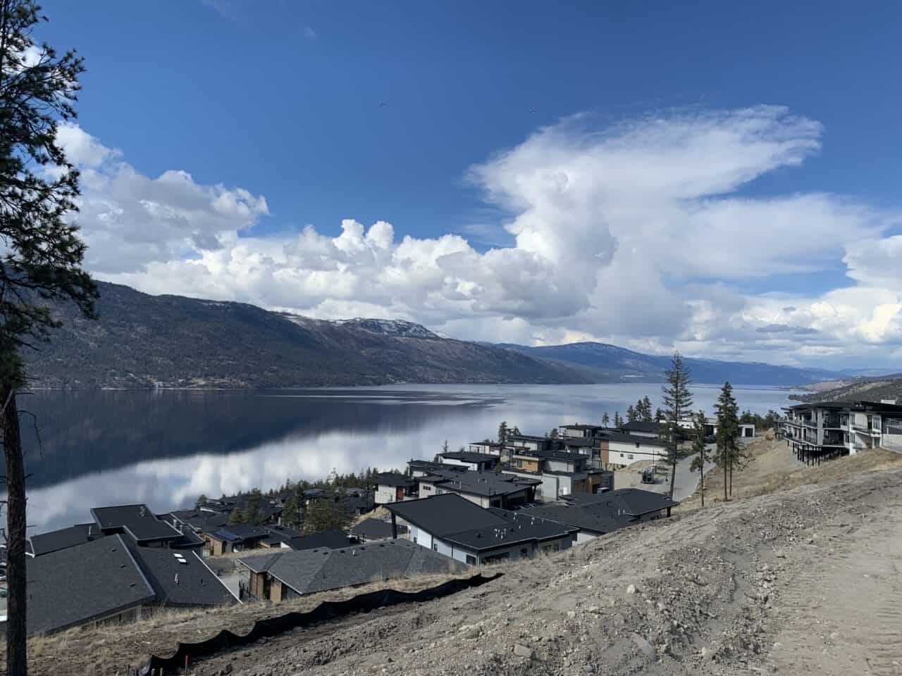 Home - Dynamic Constructors