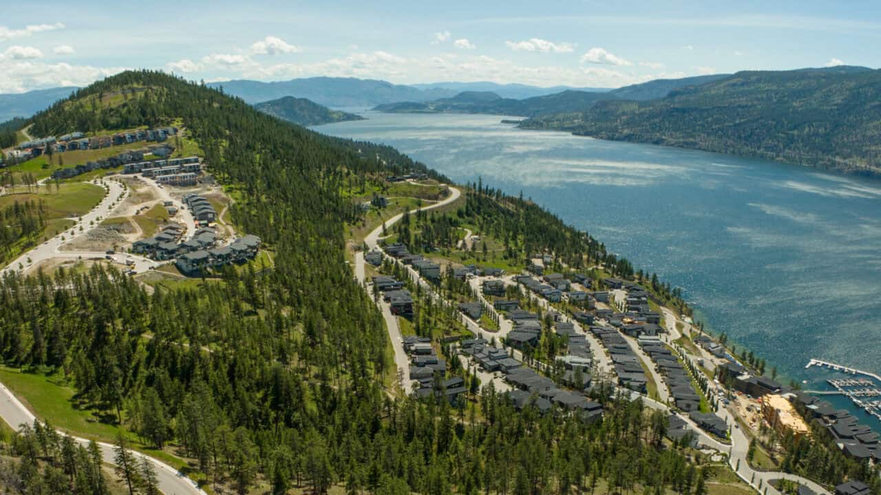 Home - Dynamic Constructors